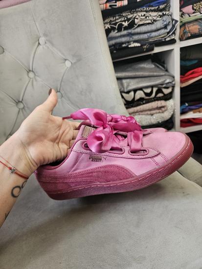 Pink puma