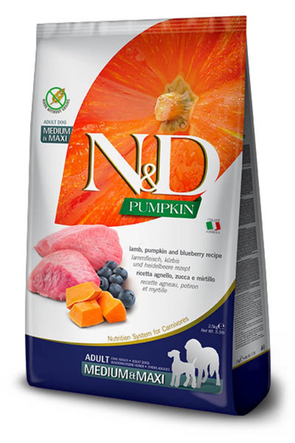 N&D Pumpkin Lamb&Blueberry Medium&Maxi