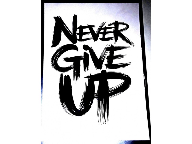 Crtez na hamer papiru 30 x 21,5 cm. - Never give up