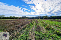 Poljoprivredno zemljište sa turističkim potencijalom 2,6 ha, Ub, Bajevac – 38 000€