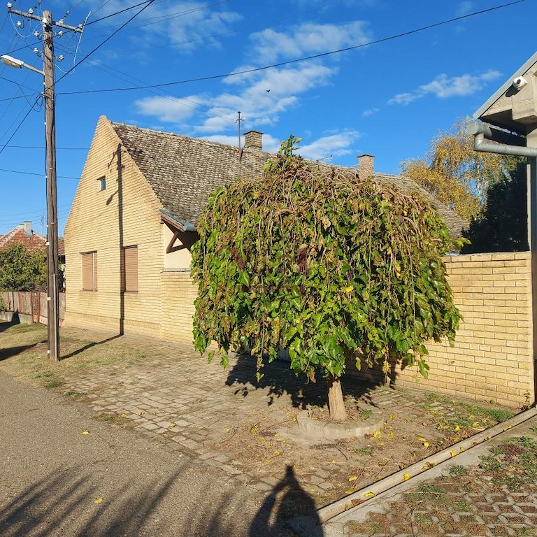 Srbobran, Odlična renovirana kuća u vojvođanskom stilu