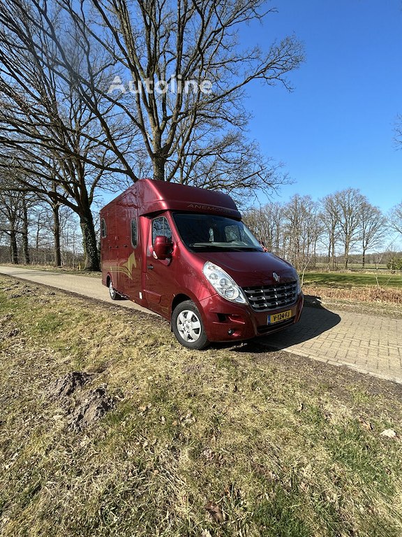 Renault Master vozilo za prevoz konja