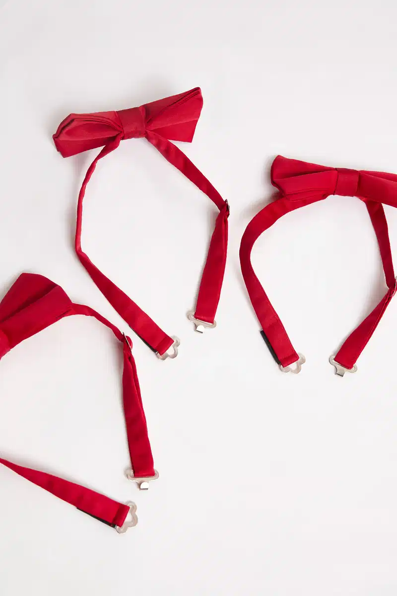 Sa Šarom Crvena Leptir Mašna