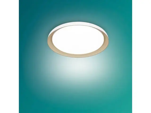 Philips Plafonska lampa Pebblo Ue 929004116701, Ss, 10W, 40K, Zlatno-bela