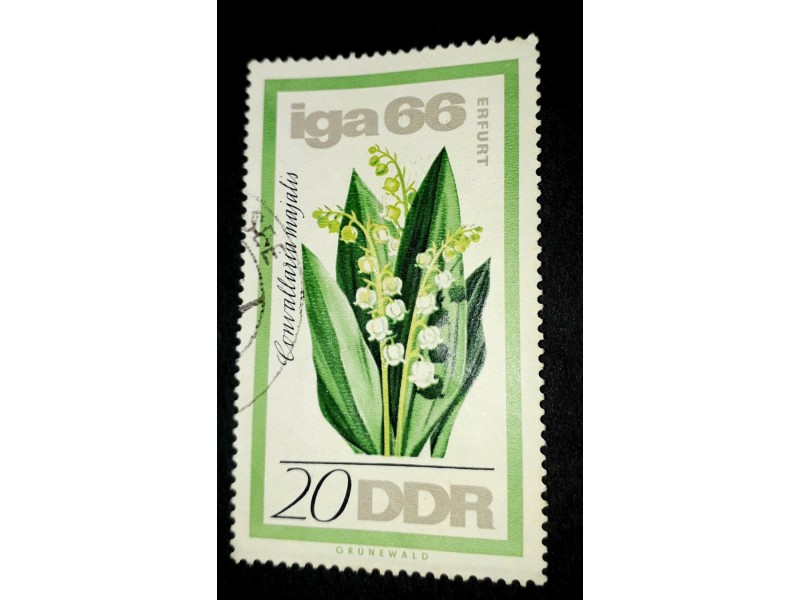 DDR 1966 flora
