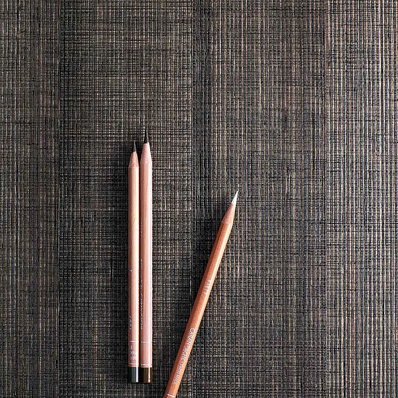 FABRIQUE BOJA GRAPHITE, ULJANI, SIBIRSKA BREZA, 90 X 1200 X 12.5MM LISTONE GIORDANO