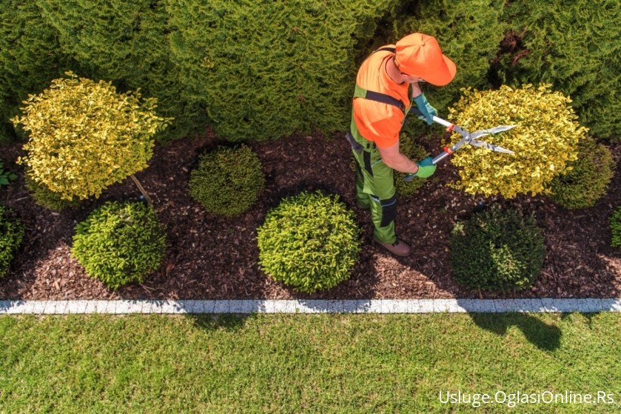 Čišćenje dvorišta i šišanje trave, Beograd