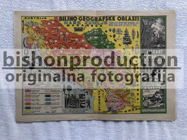 Biljno-geografske oblasti SFRJ (Dečije Novine)