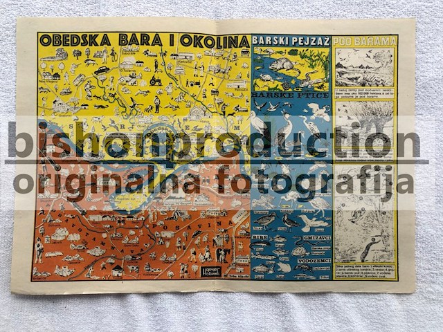 Obedska bara i okolina (Dečije Novine)