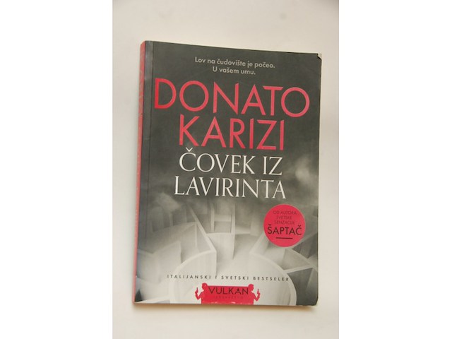Čovek iz lavirinta - Donato Karizi