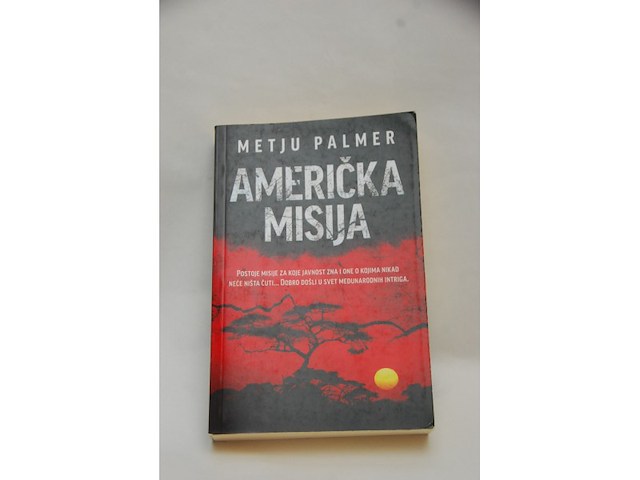 Američka misija - Metju Palmer