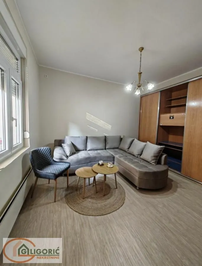 Izdavanje, dvosoban stan, 34m², Skadarlija, Beograd