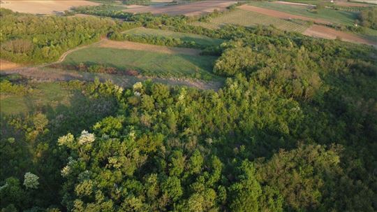 Građevinsko zemljište 9000m2 kod Starog Hopova