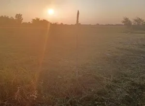 Prodaja Građevinsko zemljište - Novi Sad, Veternik - Lipov Gaj