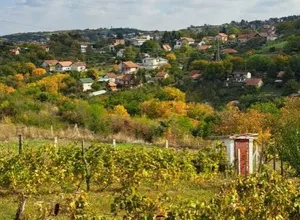 Prodaja Građevinsko zemljište - Novi Sad, Sremska Kamenica - Tatarsko brdo