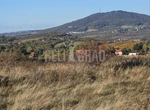 Prodaja Plac - Beograd, Voždovac: Ripanj - Šuplja Stena