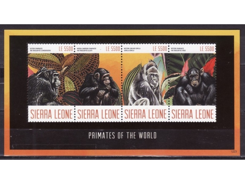 Sierra Leone - Bl primati