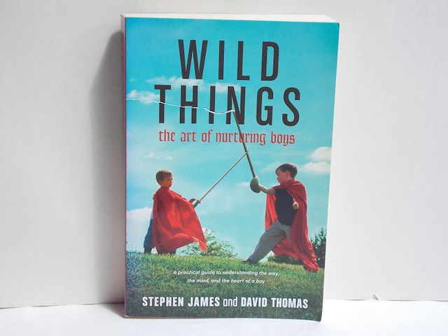 Wild Things - The art of nurturing boys