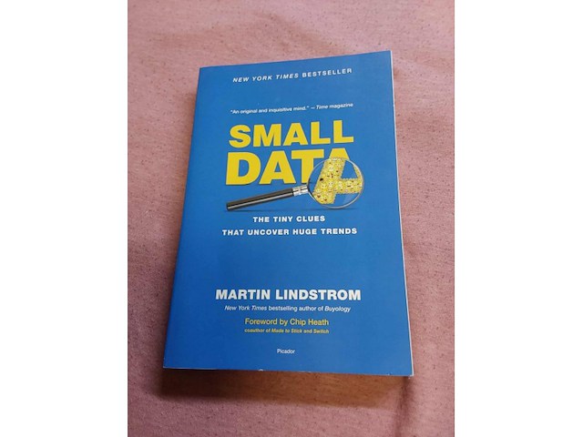 small   data   martin linstrom