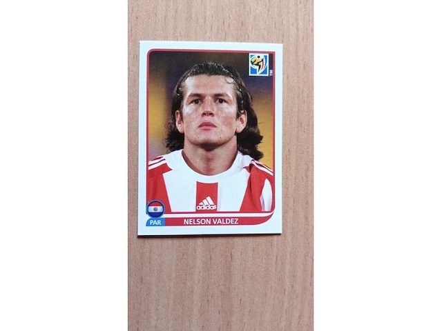 Južna Afrika broj 445 World cup 2010 Panini