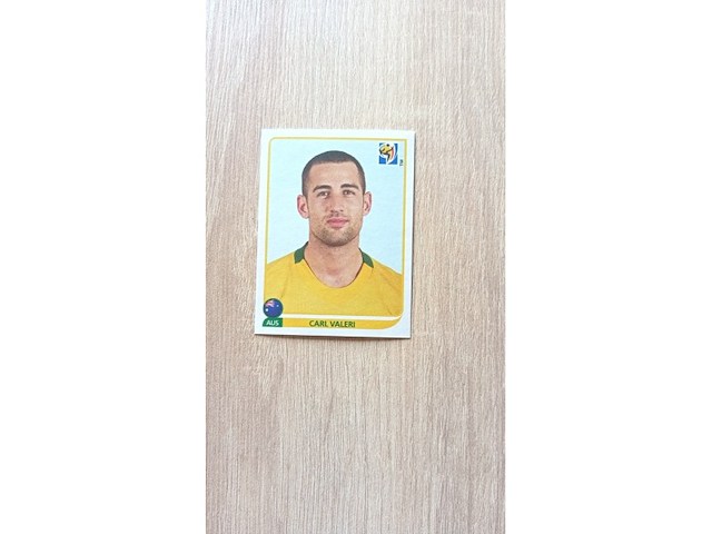 Južna Afrika broj 287 World cup 2010 Panini