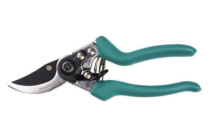 Makaze za orezivanje - GREENMILL GR6206ID: EK000740661