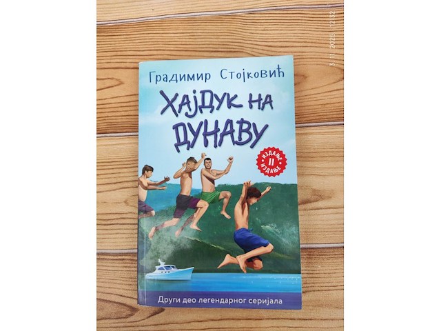 Hajduk na Dunavu-Gradimir Stojkovic