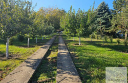 Stari Slankamen kuca retko u ponudi , 15 ari placa veliki vocnjak