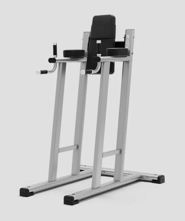 Exigo Leg Raise / Dip Station