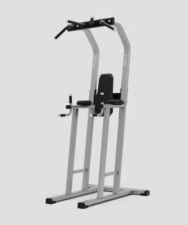 Exigo Chin Dip Leg Raise Station