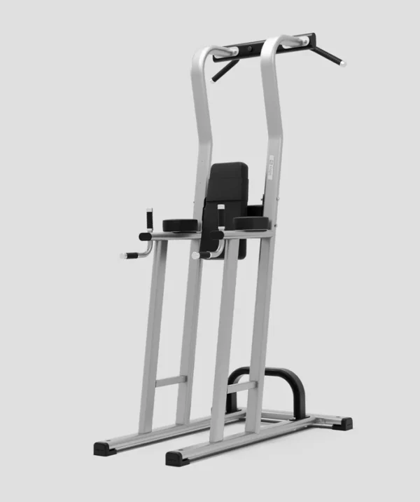 Exigo Rear Chin / Dip / Leg Raise Station
