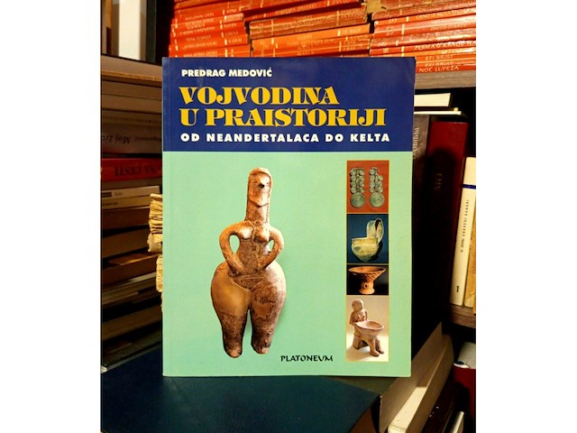 Predrag Medović – Vojvodina u praistoriji