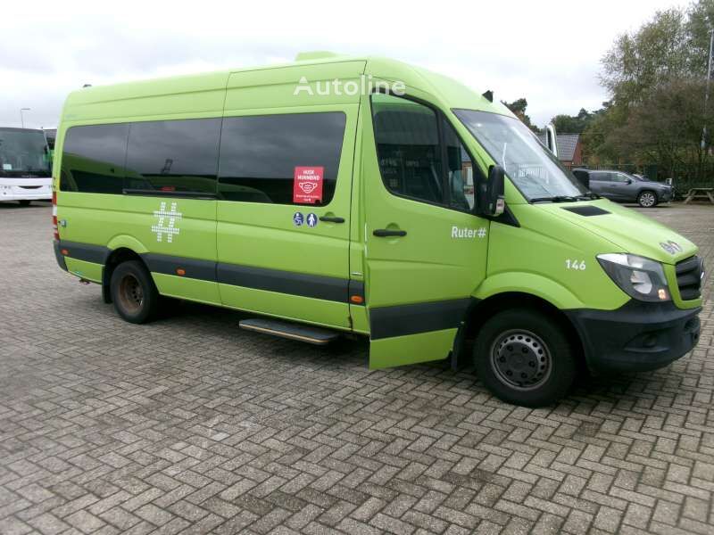 Mercedes-Benz Sprinter Altas putnički minibus