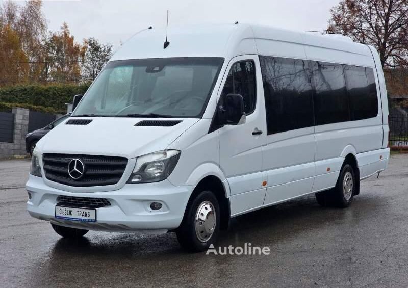 Mercedes-Benz Sprinter 516 CDI putnički minibus