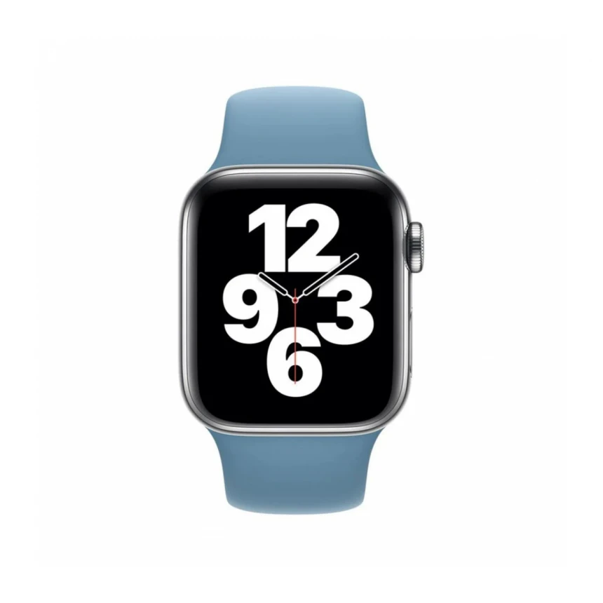 Apple Watch 40mm Band: Northern Blue Sport Band - Regular (Seasonal Nov2020)