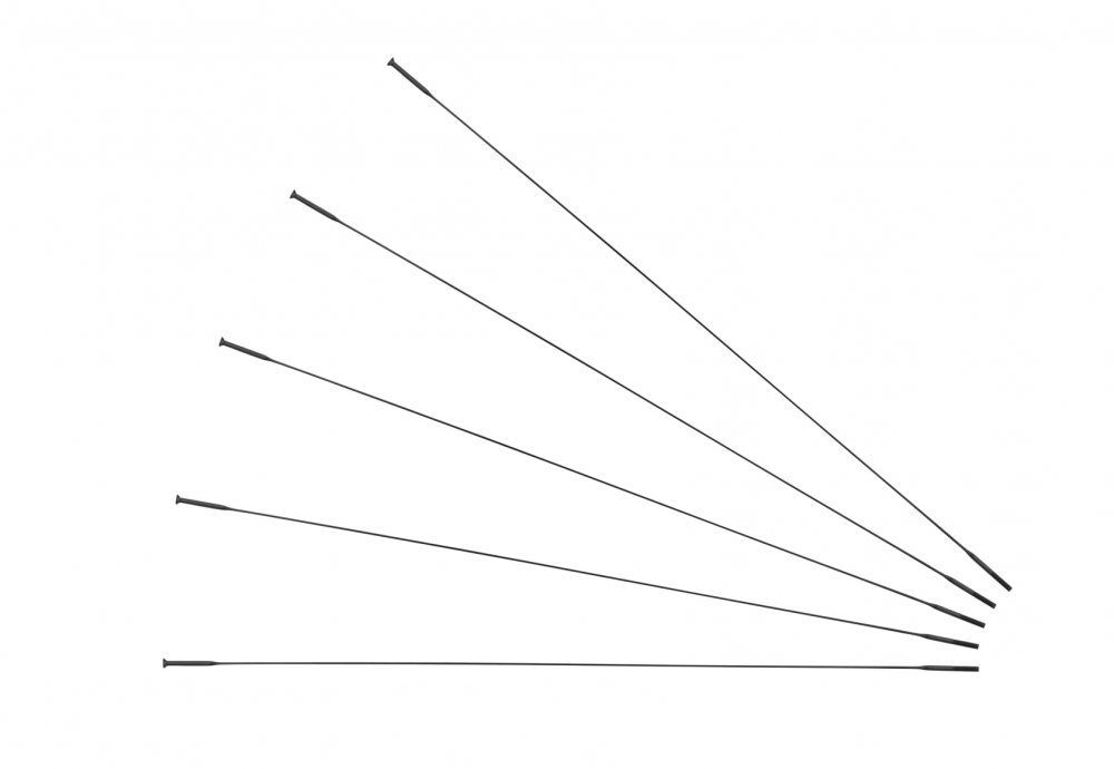 SAPIM CX-RAY STRAIGHT PULL SPOKES + NIPPLES