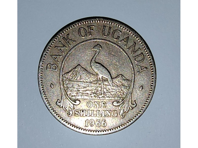 UGANDA 1966 - 1 šiling