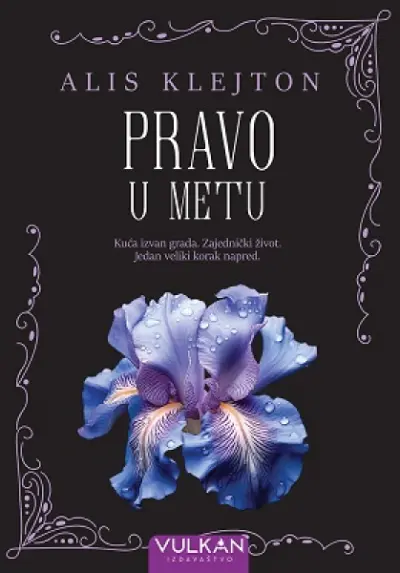 Pravo u metu