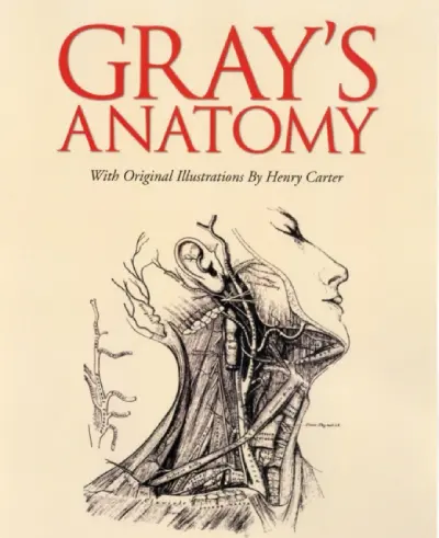 Gray's Anatomy: Slip-case Edition