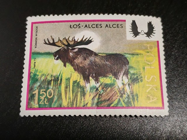 Markica Poljska 1973. Los Alces Alces