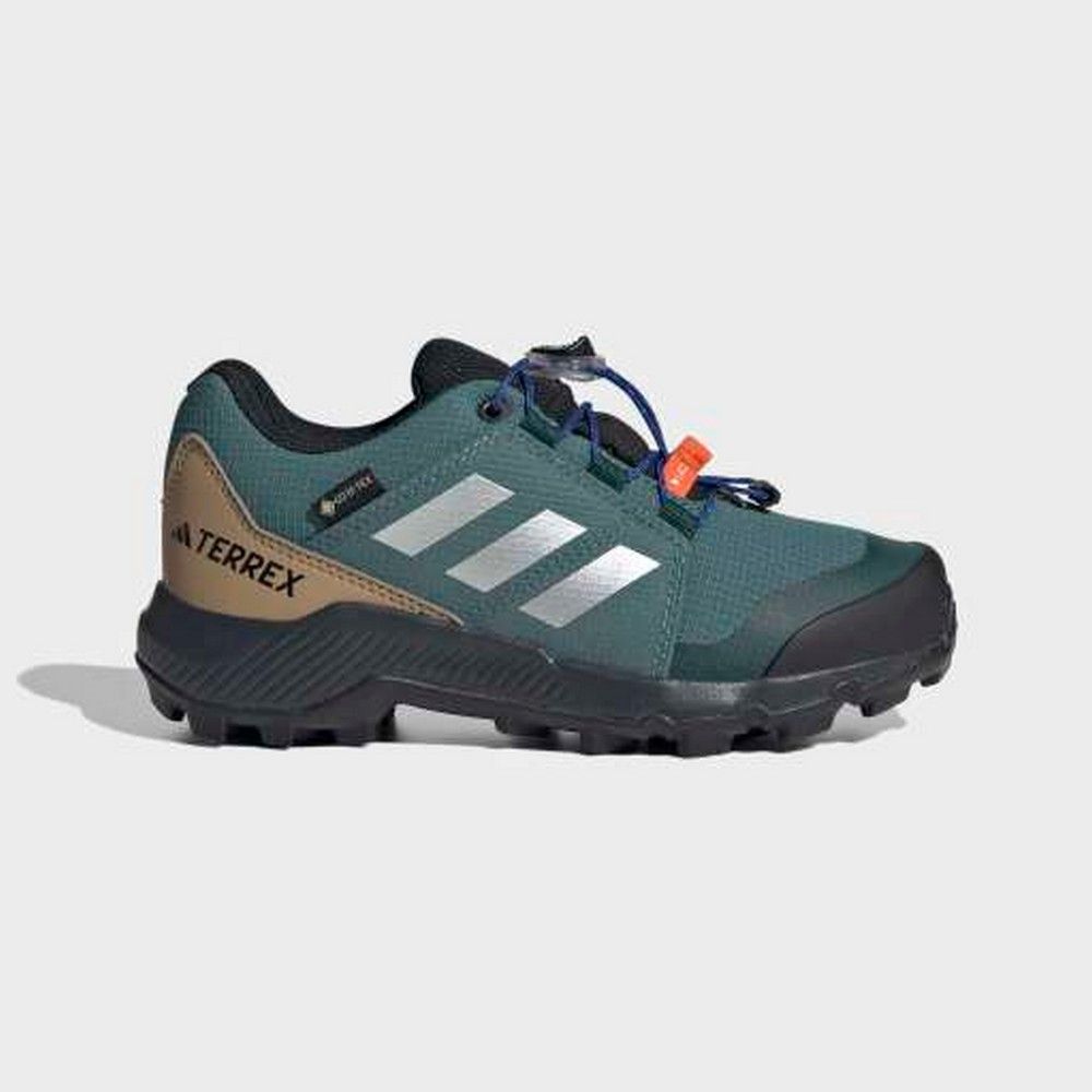 ADIDAS Cipele terrex gtx k BG