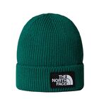 MUŠKA JAKNA TNF TNF LOGO BOX CUFFED BEANIE EVERGREEN