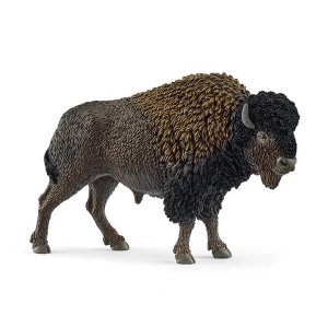 Bison
