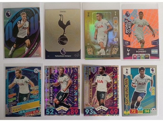 Tottenham Lot 20 Različitih Insert Kartica