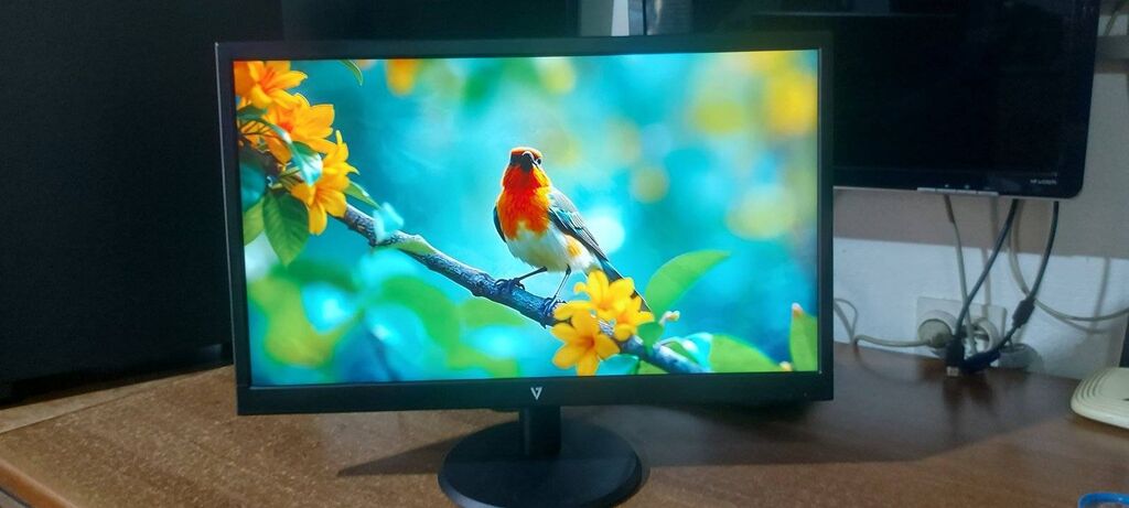 V7 L215DS-2E - LED monitor - Full HD (1080p) - 21.5"-perfektan