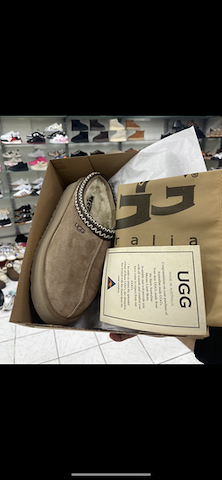 Ugg tazz potpuno Nove