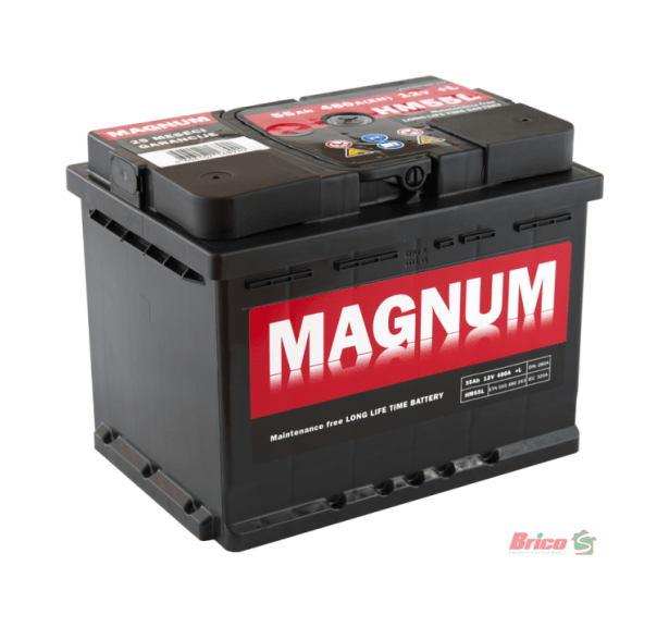 AKUMULATOR MAGNUM 12V 55AH L+