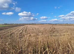 Prodaja Građevinsko zemljište - Beograd, Palilula: Borča - Kovilovo - Crvenka