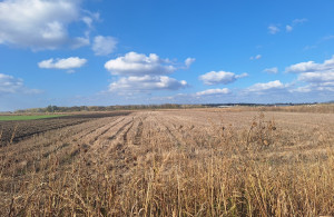 Prodajem Zemljište, Borča, Beograd Grad