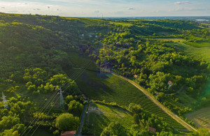 Prodajem Građevinsko Zemljište, Sremski Karlovci, Novi Sad Okolica